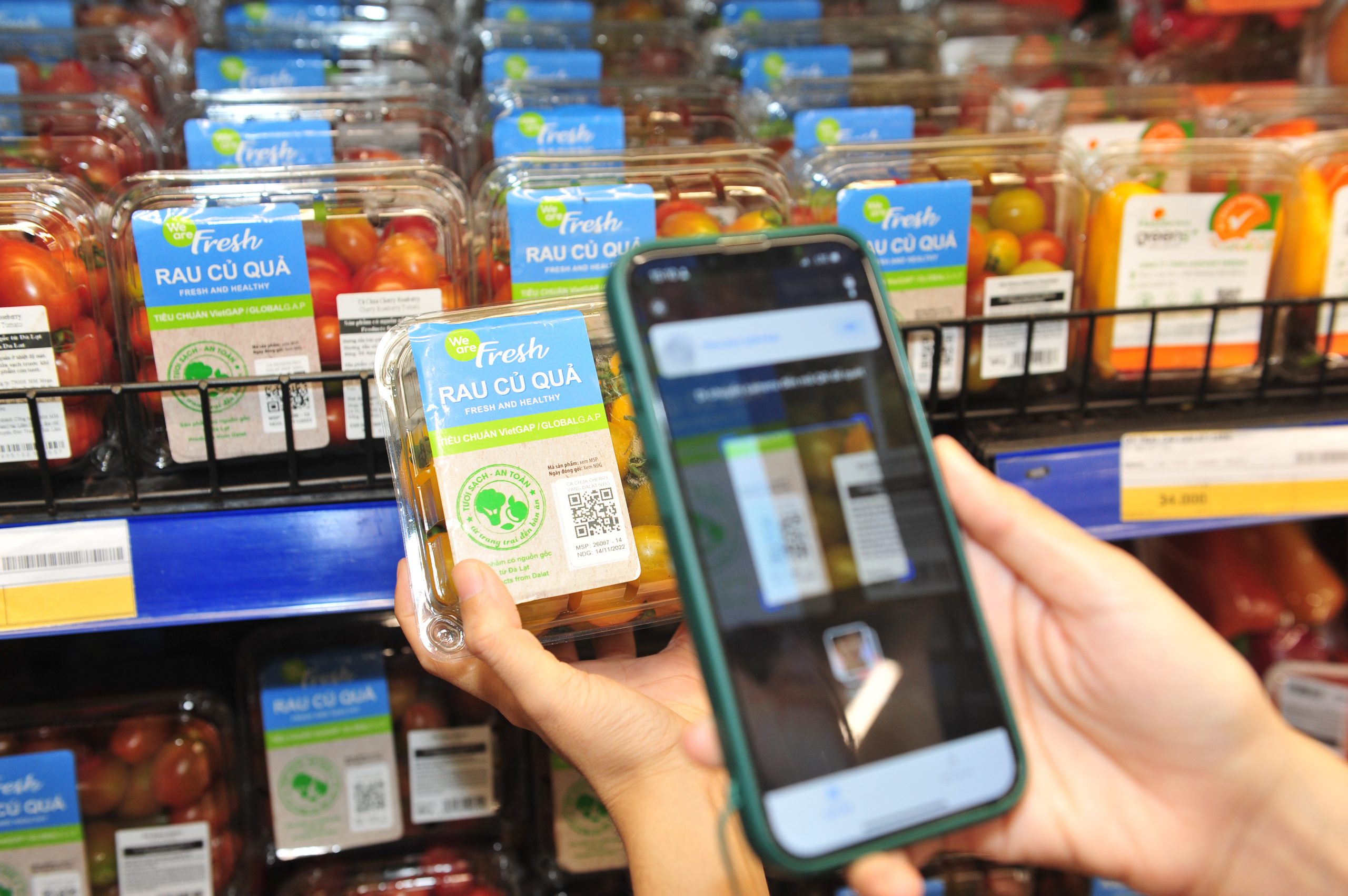 ĐỔI MỚI NHẬN DIỆN THƯƠNG HIỆU WE ARE FRESH CHUỖI SIÊU THỊ MM MEGA ...